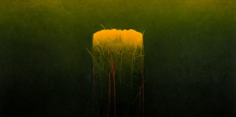Contemporary Landscape Artworks from the Portfolio of Stephen Howard ...